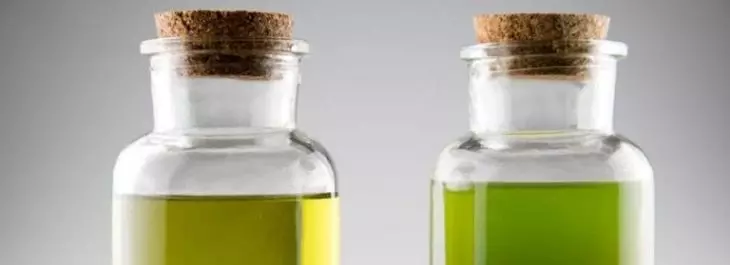 Oli de CBD i oli de cànem: el cannabidiol ajuda a la vostra salut i benestar? 10187_1