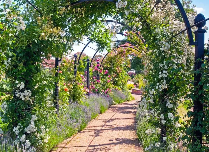 8 migliori consigli per decorare il tuo giardino nel 2022 10389_1