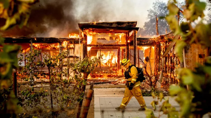 Os famosos foxen mentres os incendios devastan LA 10959_1