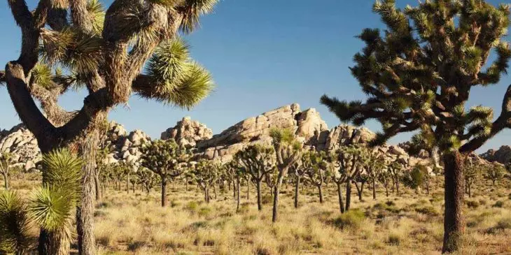 Lokale reiser: 19 steder å besøke i California denne sommeren 11001_3