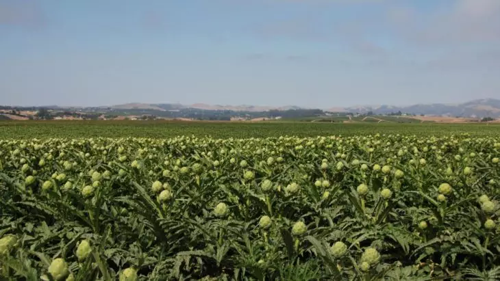 Lokale Reisen: 19 Orte, die Sie diesen Sommer in Kalifornien besuchen sollten 11001_8