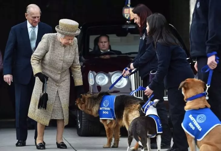 Các thành viên gia đình hoàng gia với những chú chó 11111_8