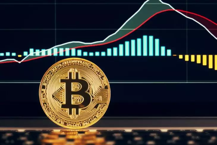 Jak bitcoiny a další investice do kryptoměn vydělávají peníze 11277_5