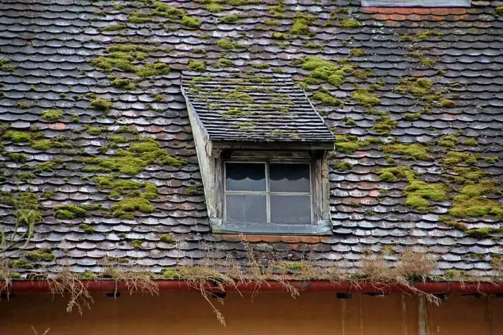 5 märki, et teie vana katus vajab väljavahetamist 11405_2