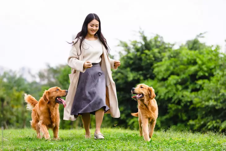 ペットは夫よりも優れているため、男性が犬について懸念を表明した後、女性はアレンジされた結婚を断ち切る 11703_1