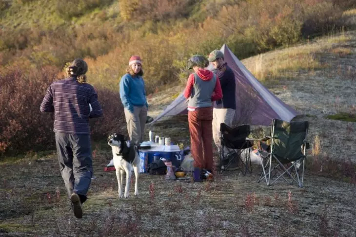 Campeggio con il tuo cane: tutto quello che devi sapere 11714_2