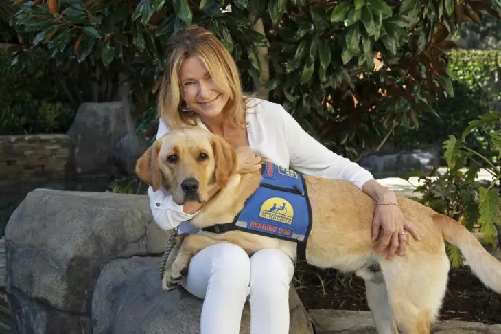 Assistance Dogs: Klassifikationer af hunde, der hjælper mennesker med handicap 12067_5