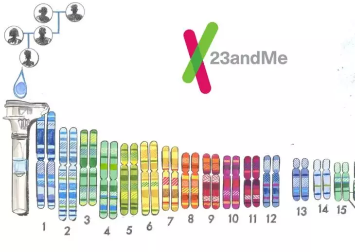 5 bästa DNA-testningsföretag 2022 12826_2