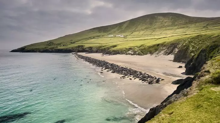 Optimaal genieten van het rijden op de Wild Atlantic Way – Ierland 13014_1