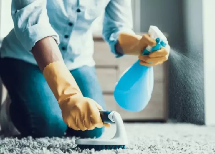 Como analisar os níveis de eficiência dos serviços online de limpeza profissional de carpetes 13632_3