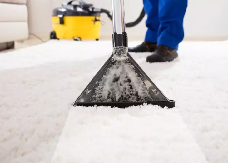 如何分析在線專業地毯清潔服務的效率水平 13632_4
