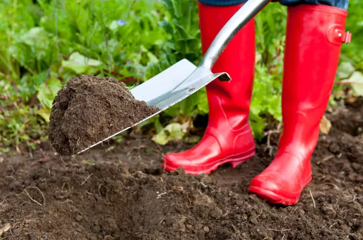 Ideas sobre cómo cultivar un hermoso jardín de flores en 2022 13970_1