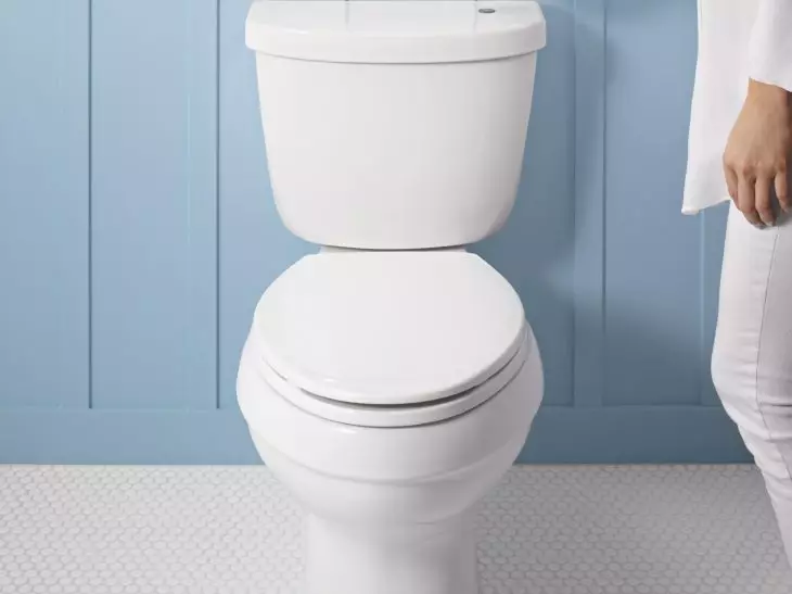 Hoe om 'n ordentlike toilet vir jou badkamer te kry? 14691_4