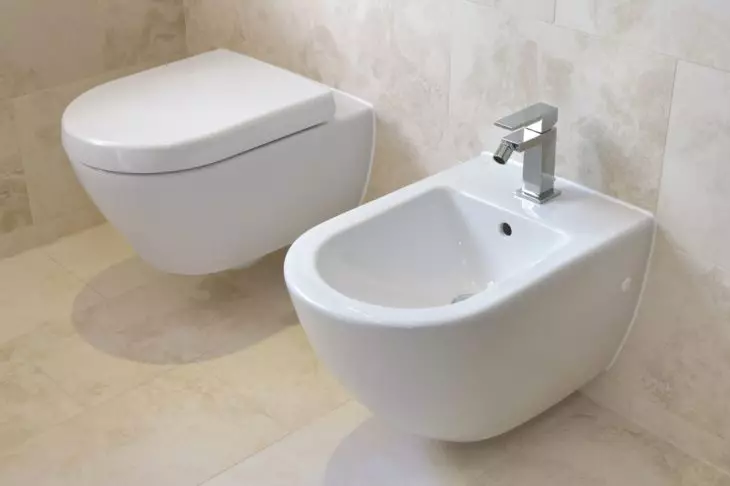 Hoe om 'n ordentlike toilet vir jou badkamer te kry? 14691_5