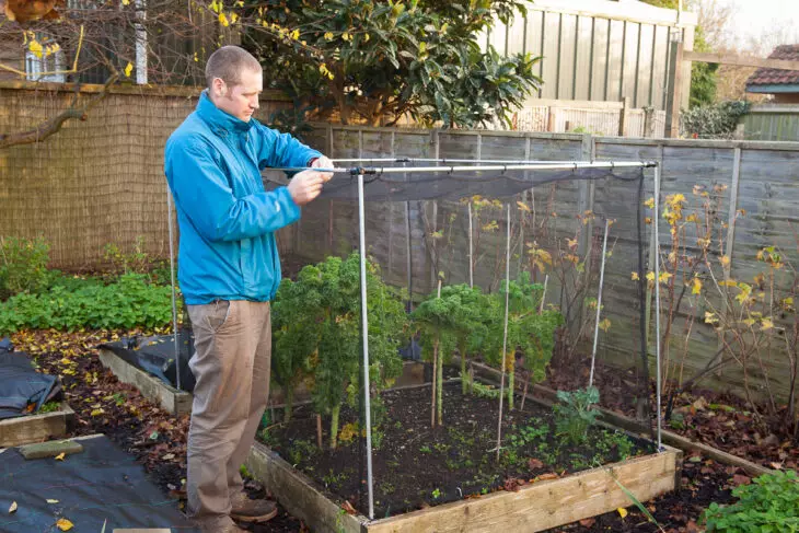 So halten Sie Vögel in 7 einfachen Schritten von Ihrem Garten fern – Leitfaden 2022 15558_1