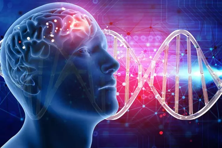 Watter rol speel DNA in ons identiteit: 5 maniere waarop DNA jou beïnvloed 15796_6