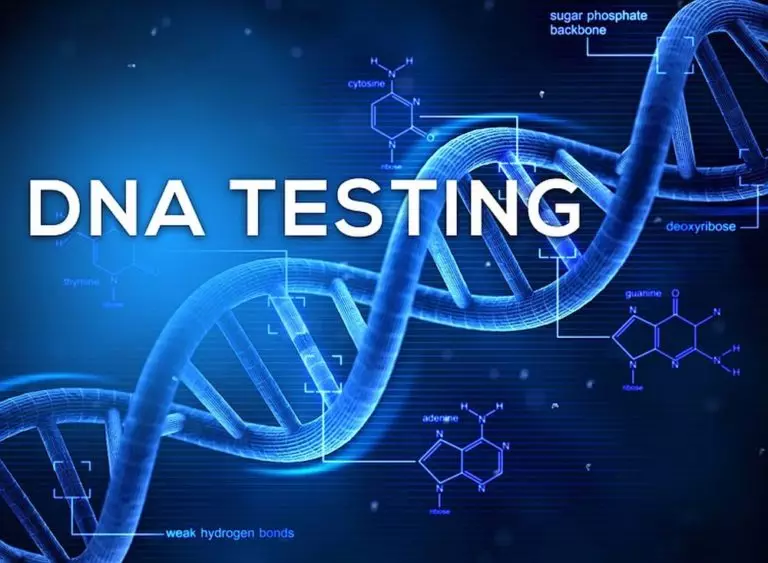 آپ کو ڈی این اے ٹیسٹ کیوں کرانا چاہیے۔