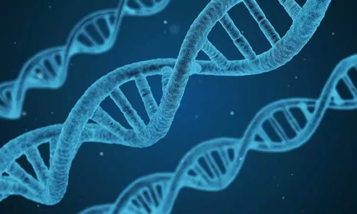 Tại sao bạn nên làm xét nghiệm DNA 15797_2