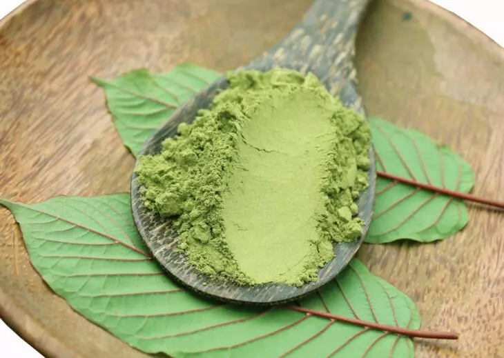 Kratom бөөний худалдаа - 2022 гарын авлага 15825_2