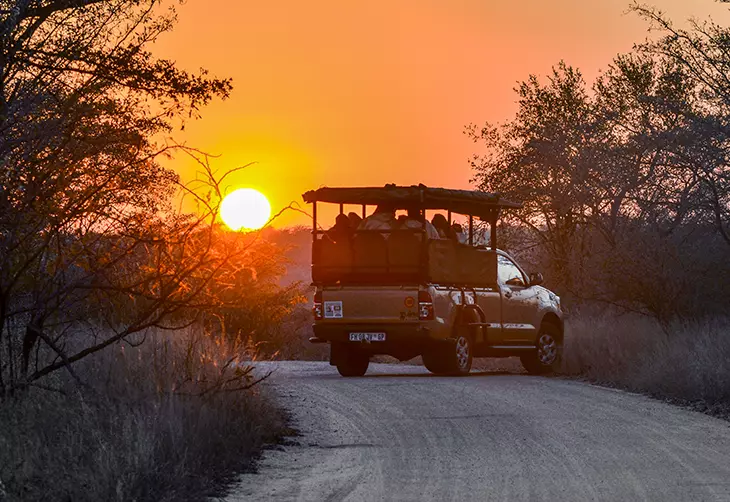 Perché dovresti visitare il Kruger National Park in Sud Africa nel 2022 16031_3