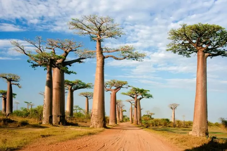 8 mellores lugares para visitar en África en 2022 16227_7