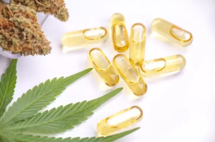 CBD مېيىنى ئىستېمال قىلىشنىڭ 5 خىل ئەڭ ياخشى ئۇسۇلى: پايدىلىق تەرەپلىرى ۋە پايدىسىز تەرەپلىرى ئۈستىدە ئىزدىنىش 16334_5