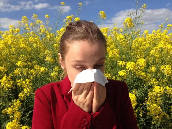 Čo robiť, keď alergia zaútočí 16537_2