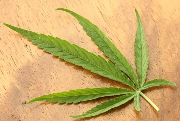 Akụkọ dị mkpirikpi nke Cannabis na Colorado 1702_2