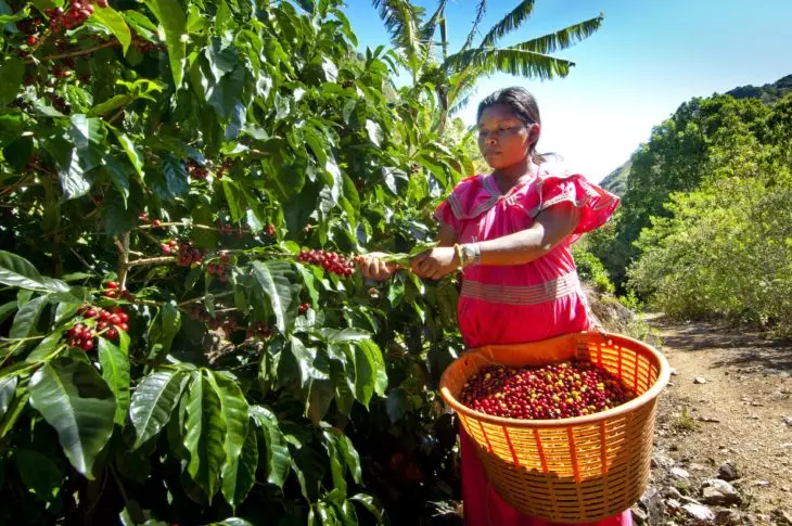 Ho Etela Costa Rica: Mona ke Lintho Tseo U ka li Etsang Ha U le Teng 17291_7