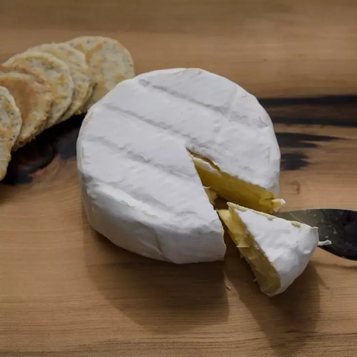 Un nuovo studio afferma che il formaggio può aiutare a uccidere le cellule tumorali 17305_1