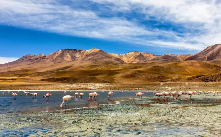 Bolivya'da 2022 Yılında Ziyaret Edilecek En İyi 8 Yer - Seyahat İpuçları ve Püf Noktaları 17349_9