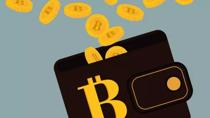 Hva er Bitcoin-lommebøker? 17762_1