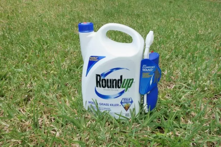 Hur fungerar Herbicid Roundup? Är det säkert? 17769_1