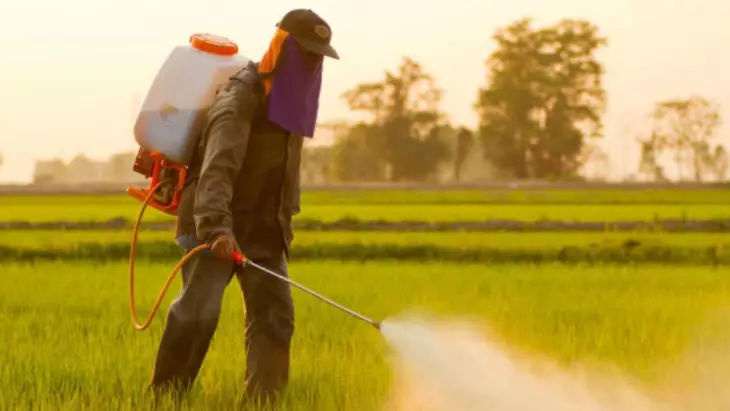 Herbicide Roundup кантип иштейт? Бул коопсузбу? 17769_2