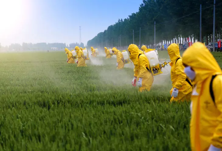 Comment fonctionne le tour d'horizon des herbicides ? Est-ce sûr? 17769_3