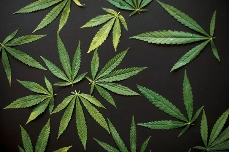 6 choses que tous les nouveaux consommateurs de cannabis se trompent 1783_4