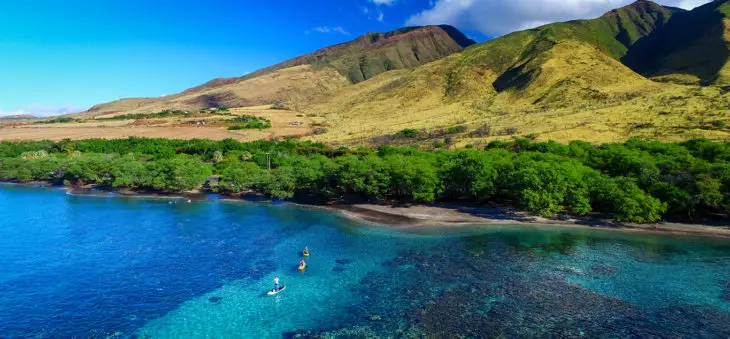 Kung ikaw usa ka turista sa Maui, kinahanglan nga mag-abang og awto 18649_1