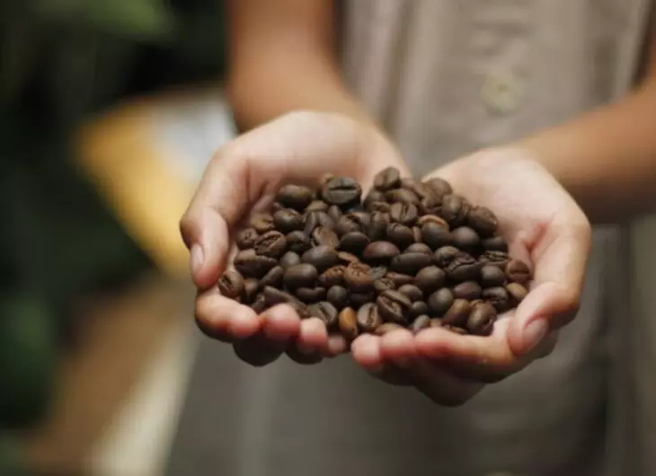 כיצד מאוחסנים פולי קפה - מהחווה לקלייה ועד לספל 1918_2