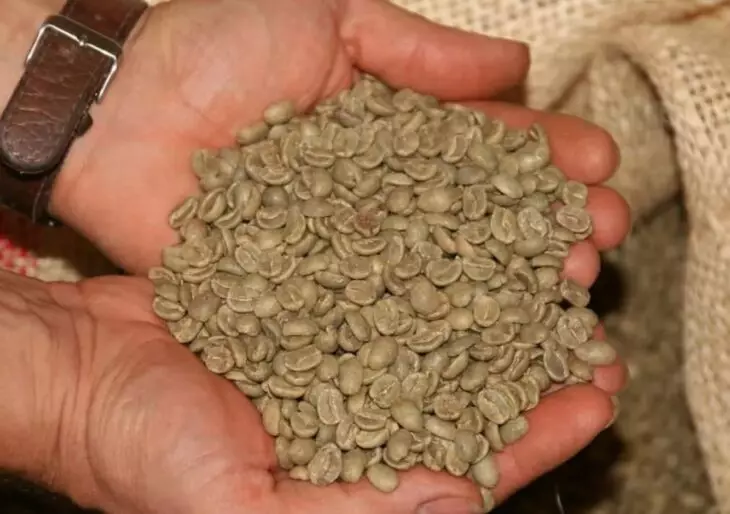 Jak przechowywane są ziarna kawy — od gospodarstwa, przez palarnie, po filiżankę? 1918_8
