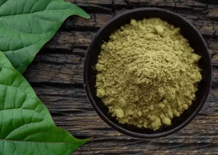 ทำไมการสูดดมหรือสูบบุหรี่ Kratom จึงเป็นความคิดที่ไม่ดี 19270_2