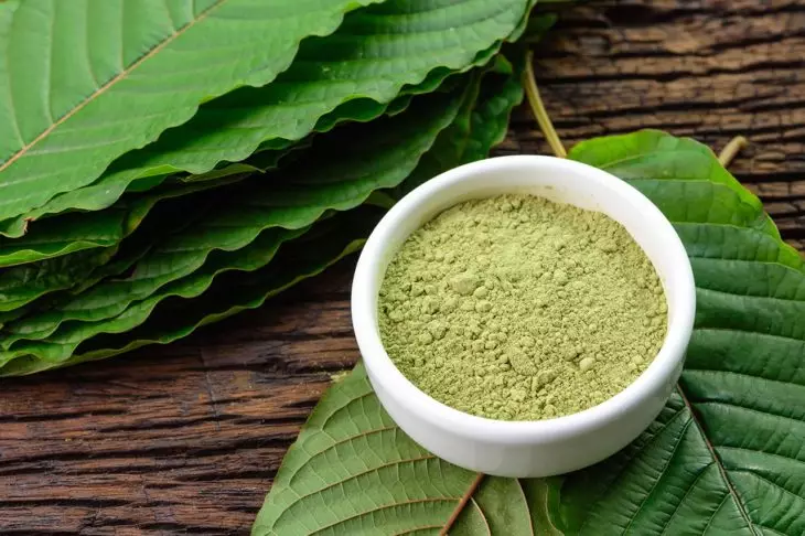 Niyə xoruldamaq və ya siqaret çəkmək Kratom pis fikirdir 19270_5