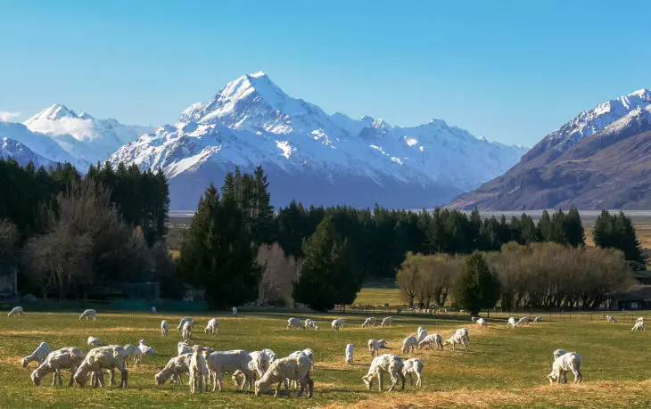 Vim li cas Koj Yuav Tsum Tau Mus Ncig Tebchaws New Zealand? 19283_2