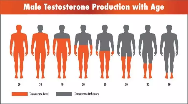 Kif Jaħdem Testosterone 19963_3