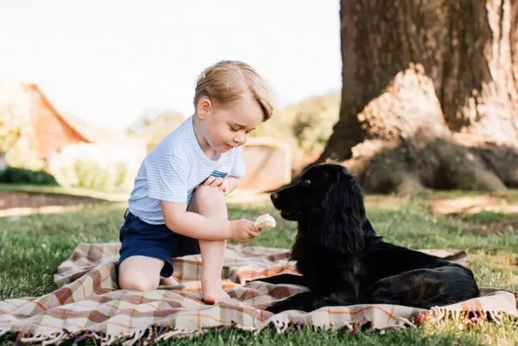 prince-george-tatler-25aug16-rex_b