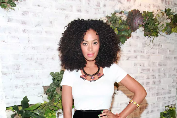 Solange Knowles Bio, נעץ ווערט 2022, לעבן, פאַקס 207_2