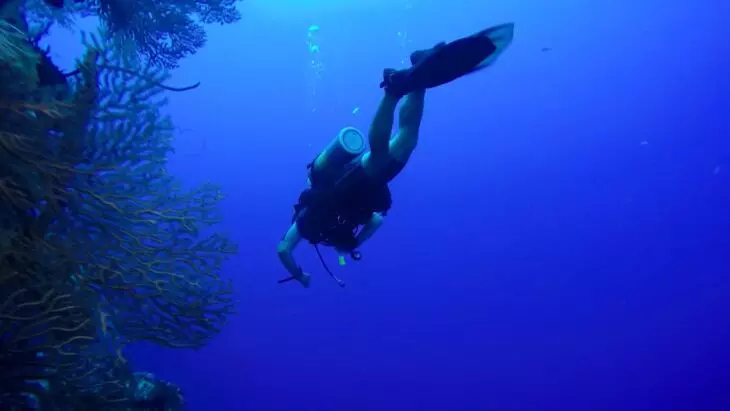 Ciò che rende il Mar Rosso il luogo perfetto per le crociere per i subacquei 20941_4