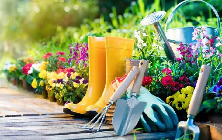 4 едноставни совети како вашата градина да биде здрава 20965_1
