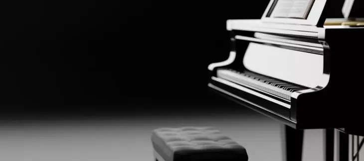 Poukisa Steinway Piano yo espesyal konsa? 2131_4