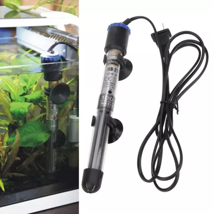 የ aquarium ሙቀት ለመጠበቅ ምርጥ መንገዶች 2147_2