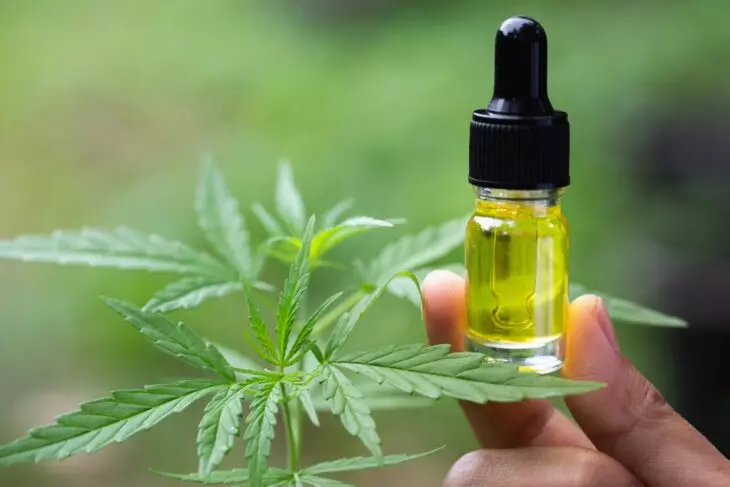 Ṣe o jẹ ofin lati Ra CBD Hemp Awọn ododo lori ayelujara? 21501_2